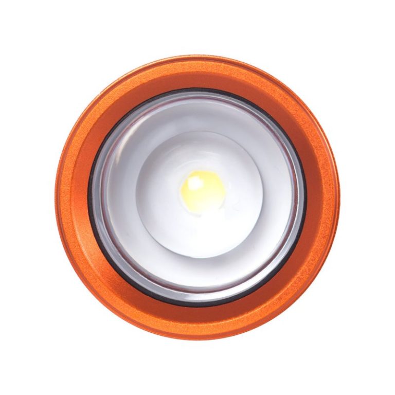 Life Systems Intensity 545 Hand Torch - BMC Shop